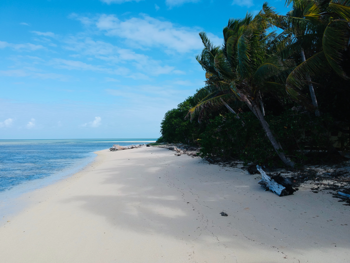 Buy Fijian Dollars FJD At The Best Exchange Rates Online Or In store Buy Fijian Dollars FJD At The Best Exchange Rates Online Or In store